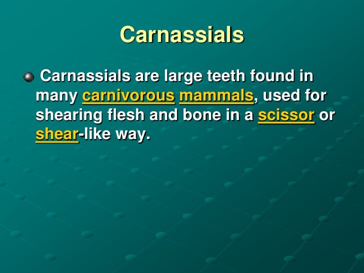 Root Word CARN root-word-carn
