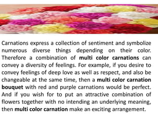 Send Amazing Carnation Flowers from Vizagfood | PDF