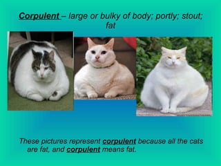 Carn, Corp CARA | PPT