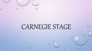 Carnegie stages | PPTX