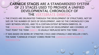 Carnegie stages | PPTX