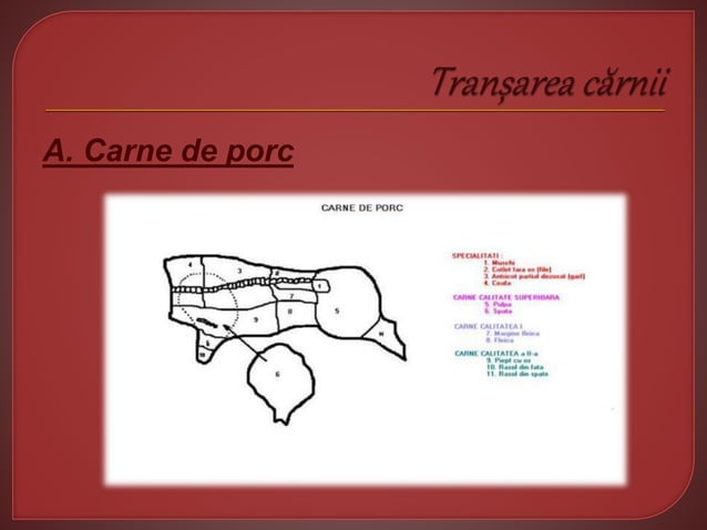 Carne și produse din carne | PPTX