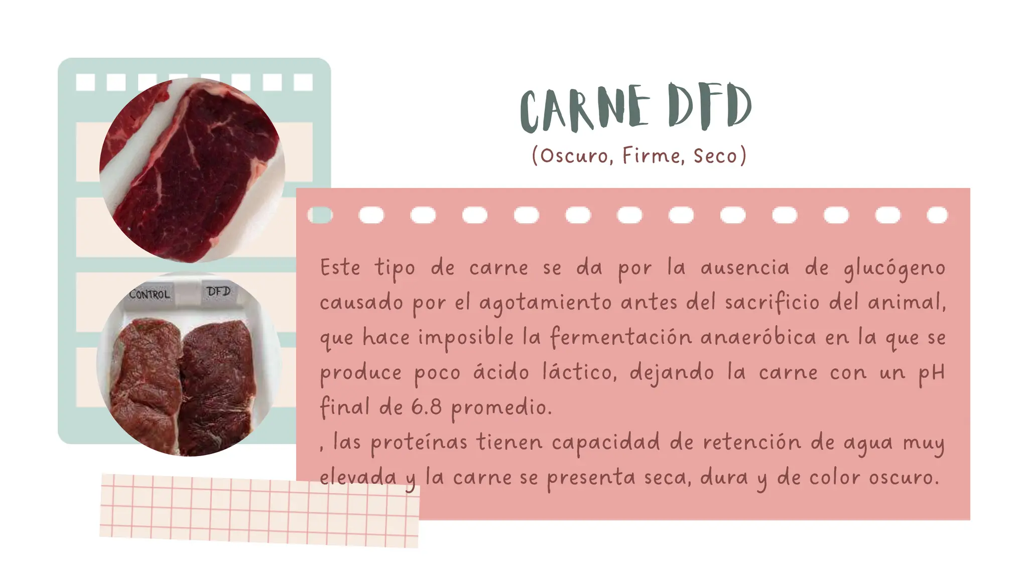 CARNE PSE Y DFD.pptx