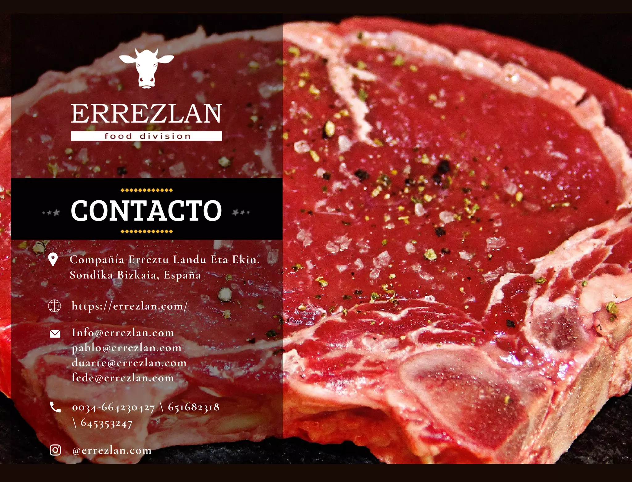 Errezlan Food Division - Carnes | PDF