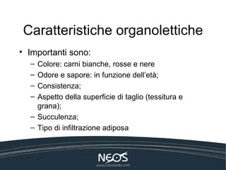 Carni | PPT