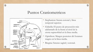 Craniometrias y Accesos Ventriculares.pptx