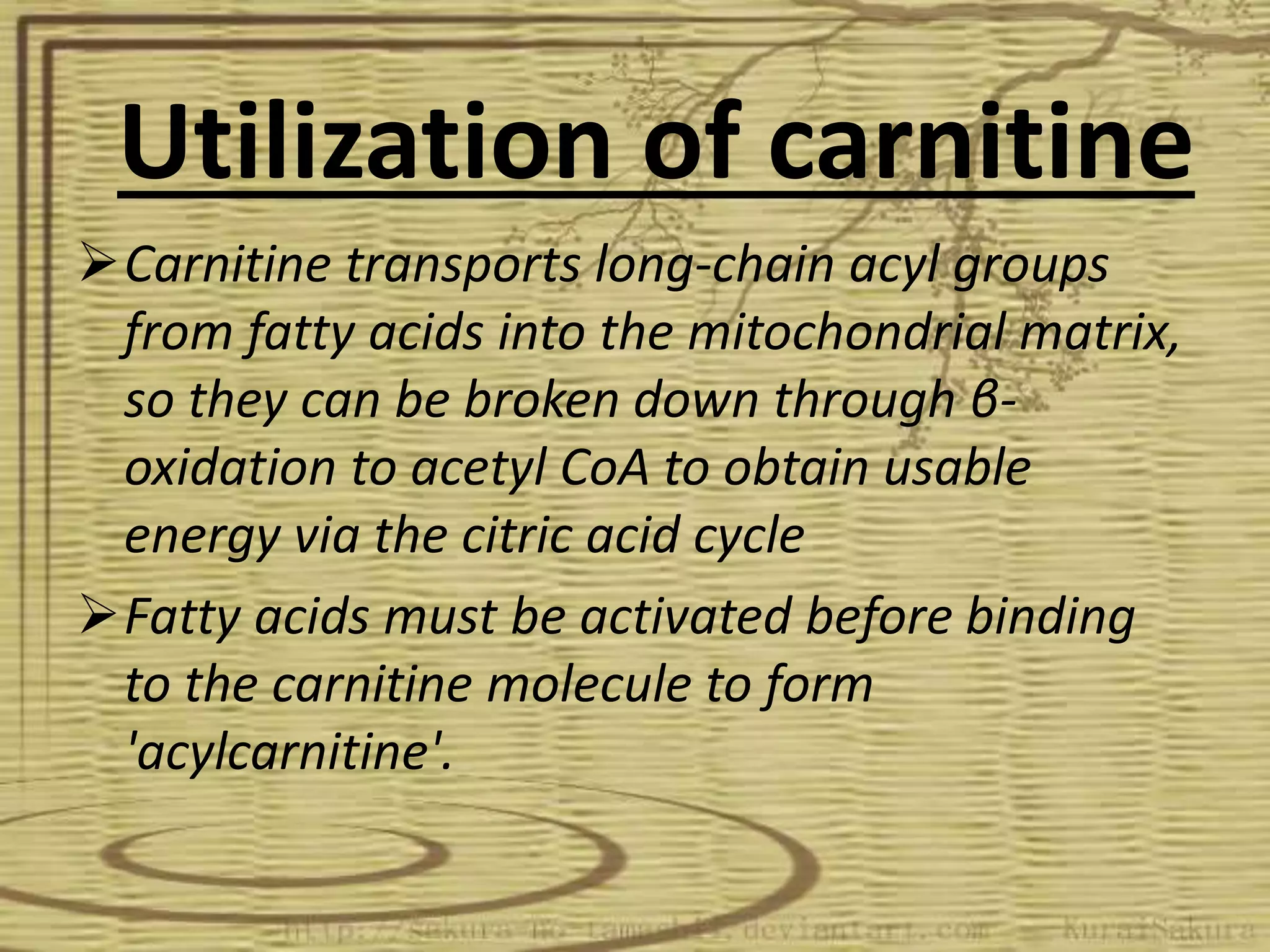 Carnitine | PPTX