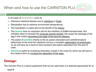 Carniton plus presentation -laying hens- | PDF | Chemistry | Science