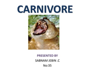 Carnivore | PPTX