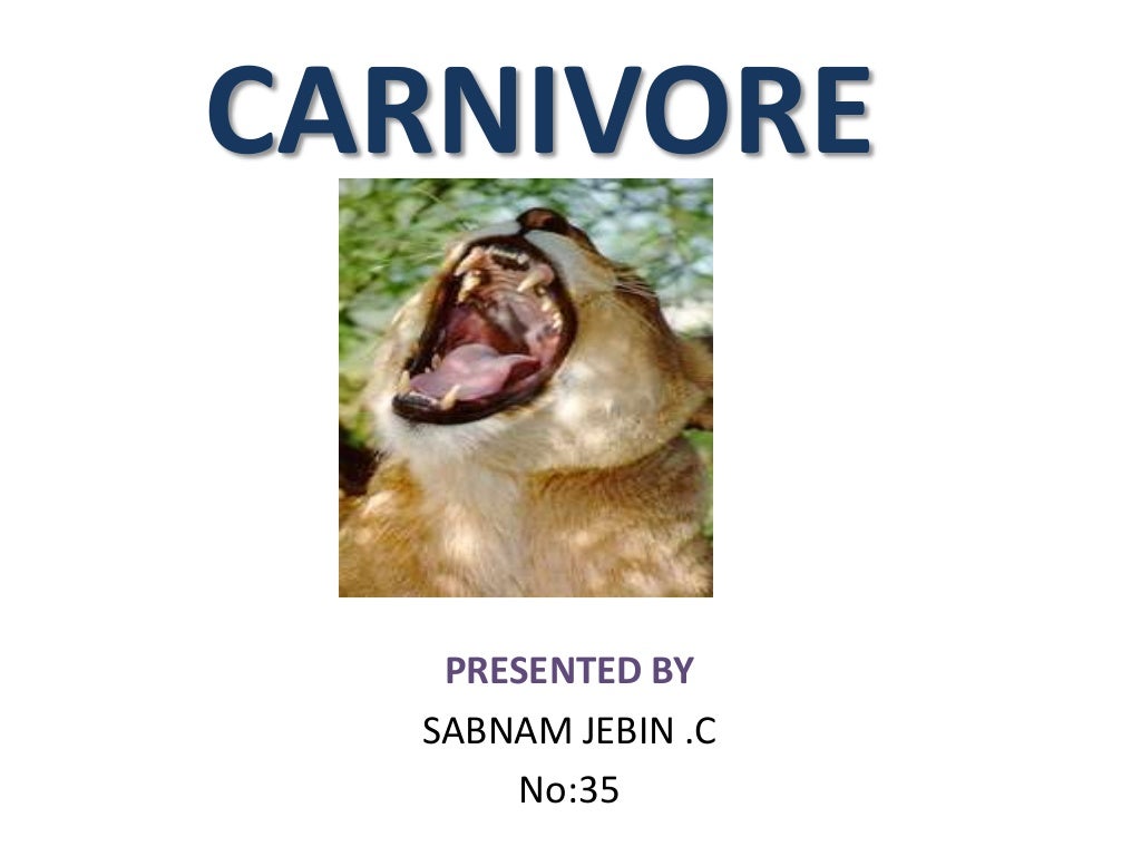 Carnivorous Meaning