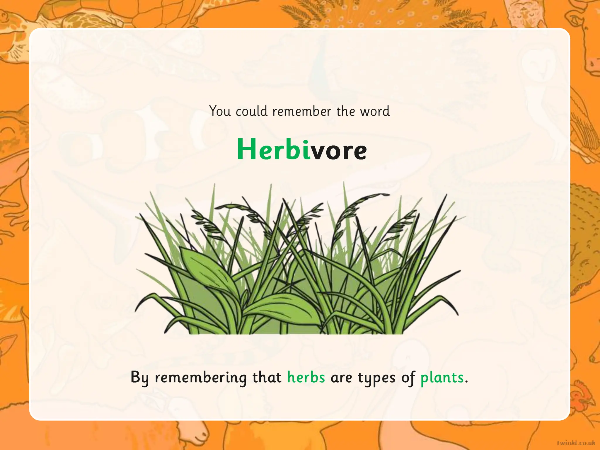 Carnivore Herbivore Omnivore.ppt this lesson is made for 4th grade ...