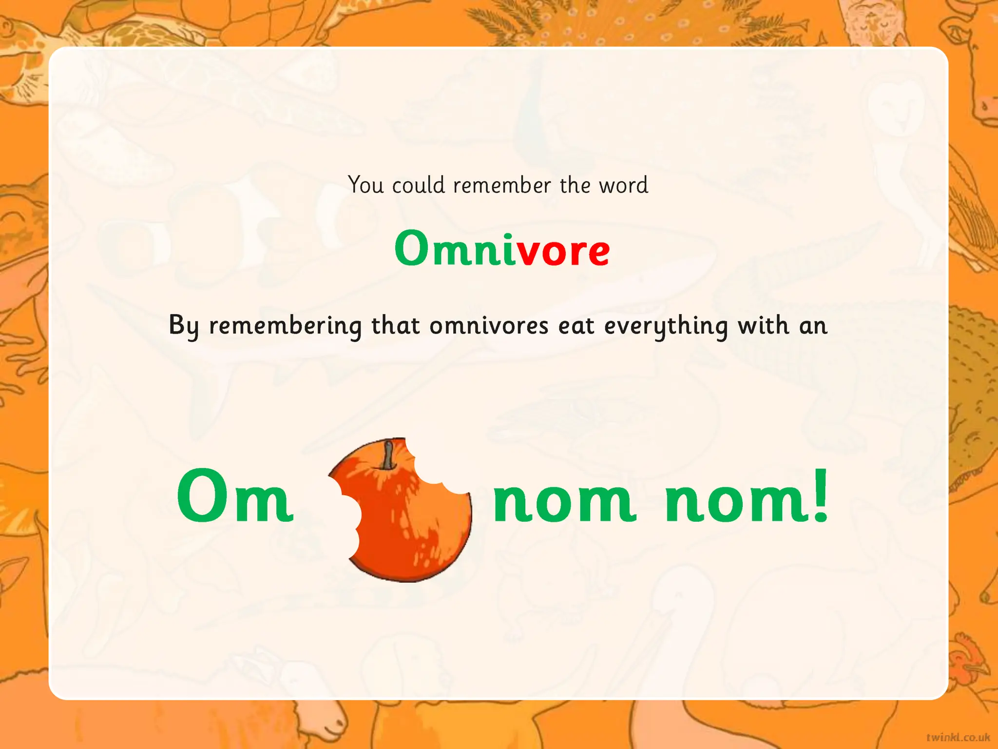 Carnivore Herbivore Omnivore.ppt this lesson is made for 4th grade ...
