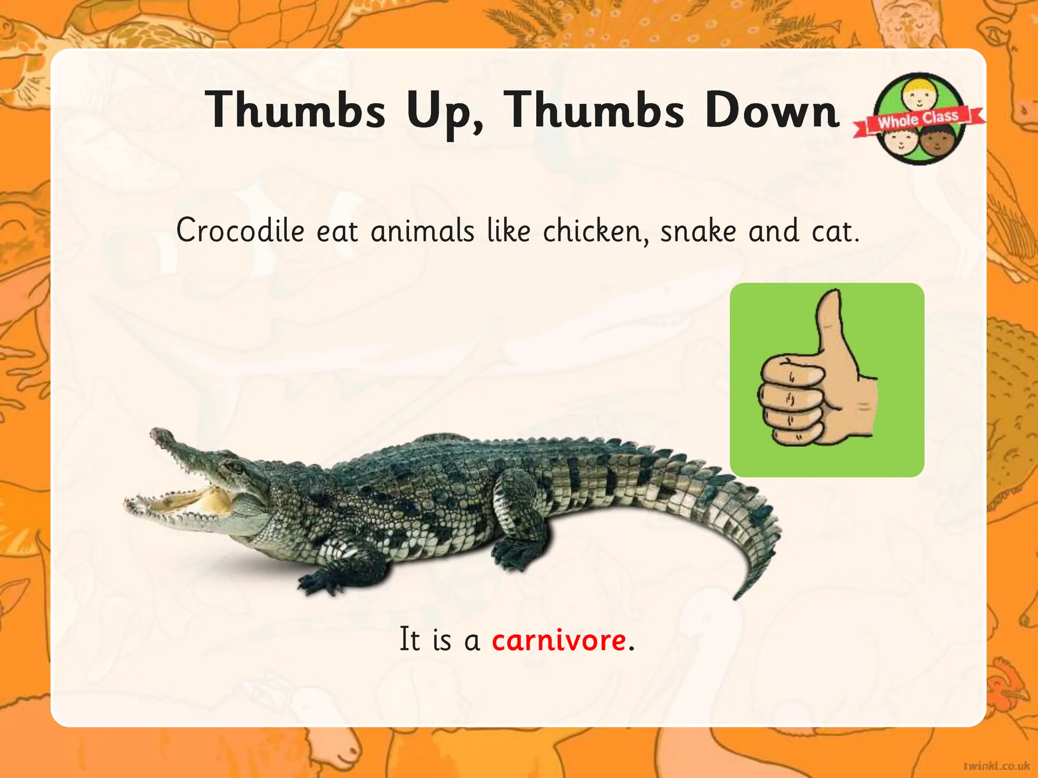 Carnivore Herbivore Omnivore.ppt this lesson is made for 4th grade ...