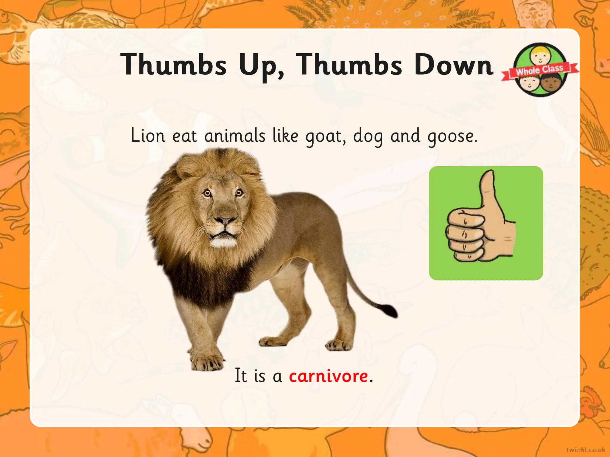 Carnivore Herbivore Omnivore.ppt this lesson is made for 4th grade ...