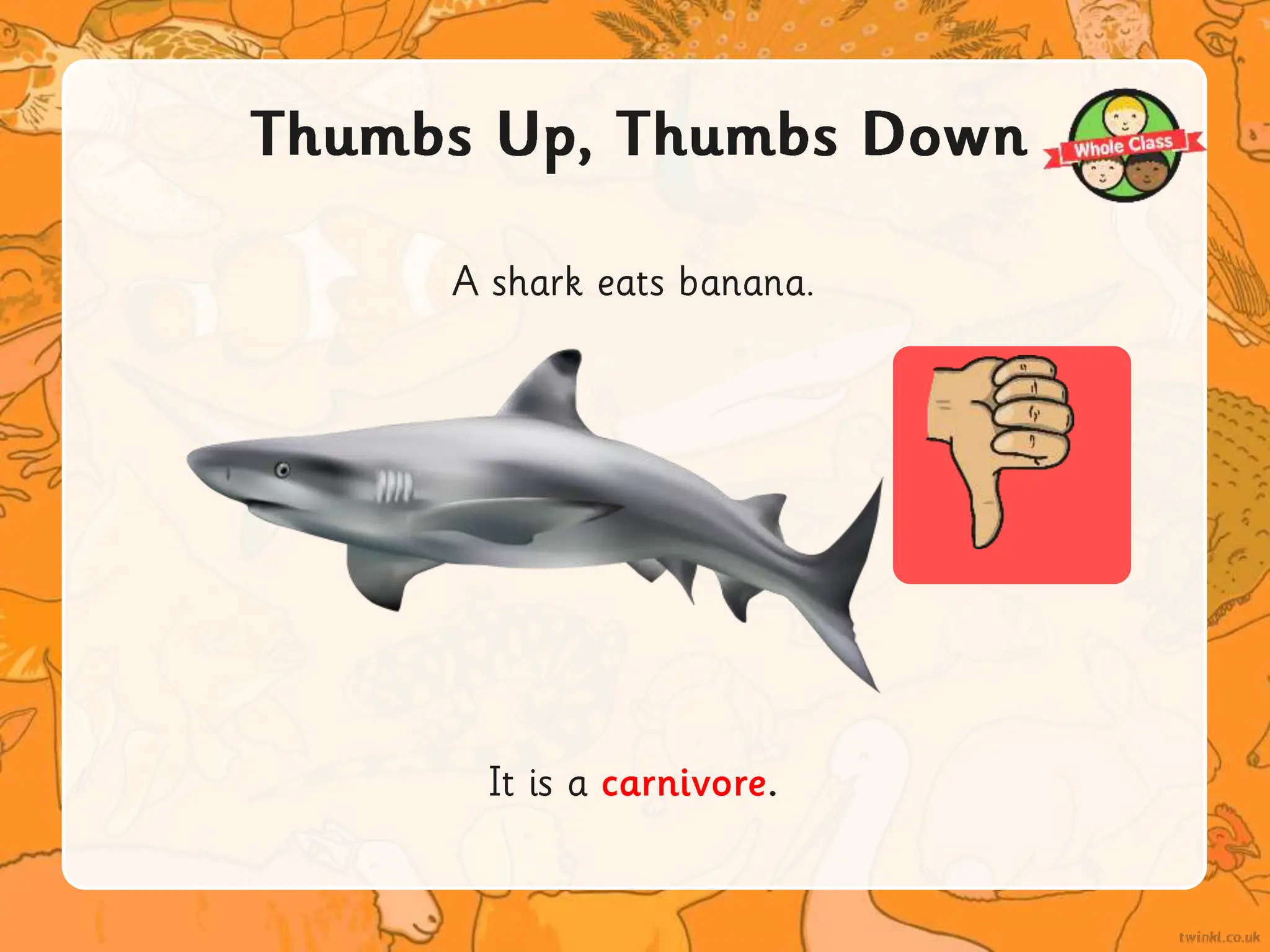 Carnivore Herbivore Omnivore.ppt this lesson is made for 4th grade ...