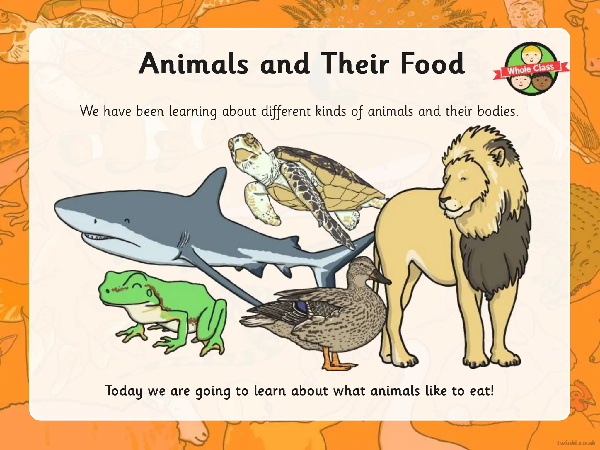 Carnivore Herbivore Omnivore.ppt this lesson is made for 4th grade ...