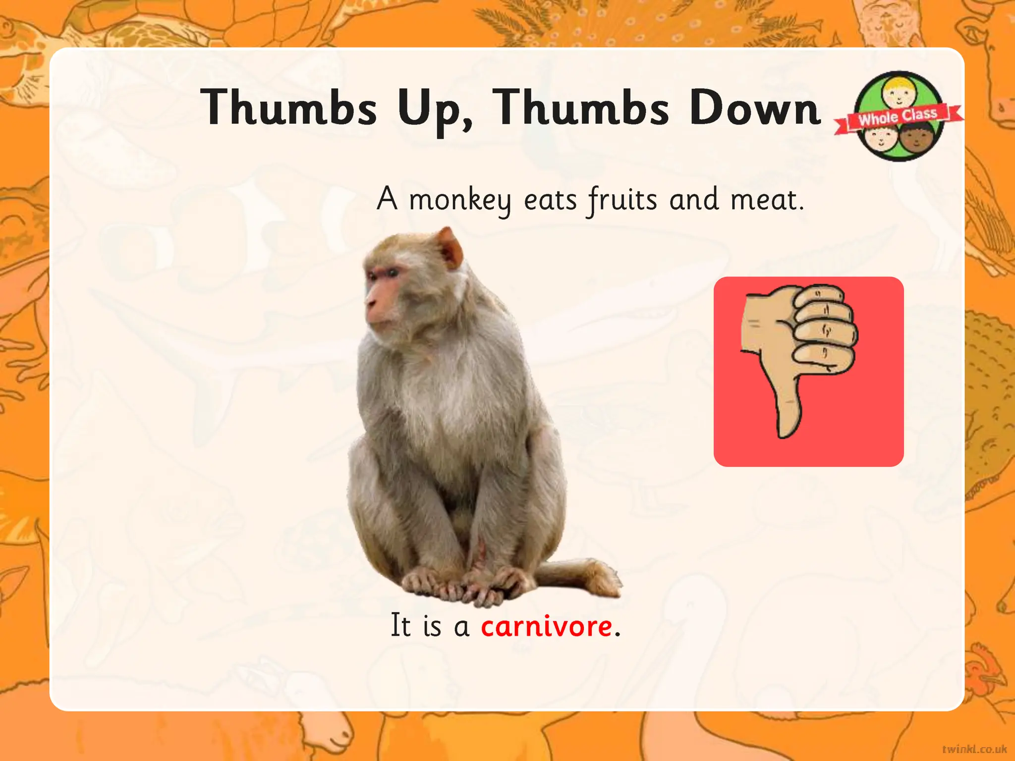 Carnivore Herbivore Omnivore.ppt this lesson is made for 4th grade ...