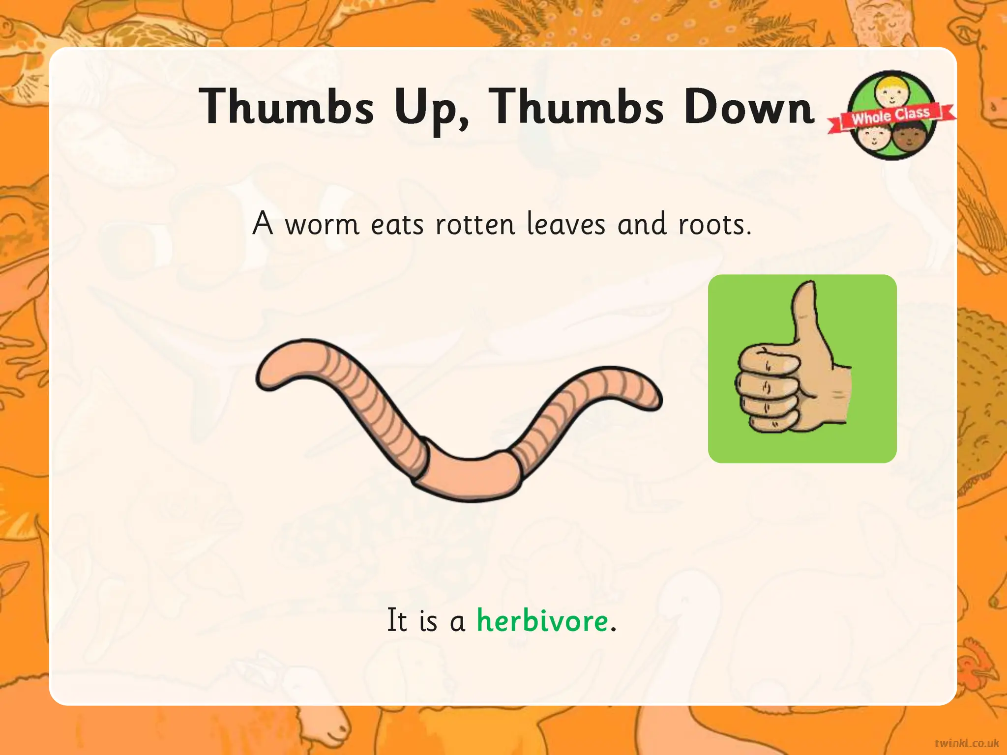 Carnivore Herbivore Omnivore.ppt this lesson is made for 4th grade ...