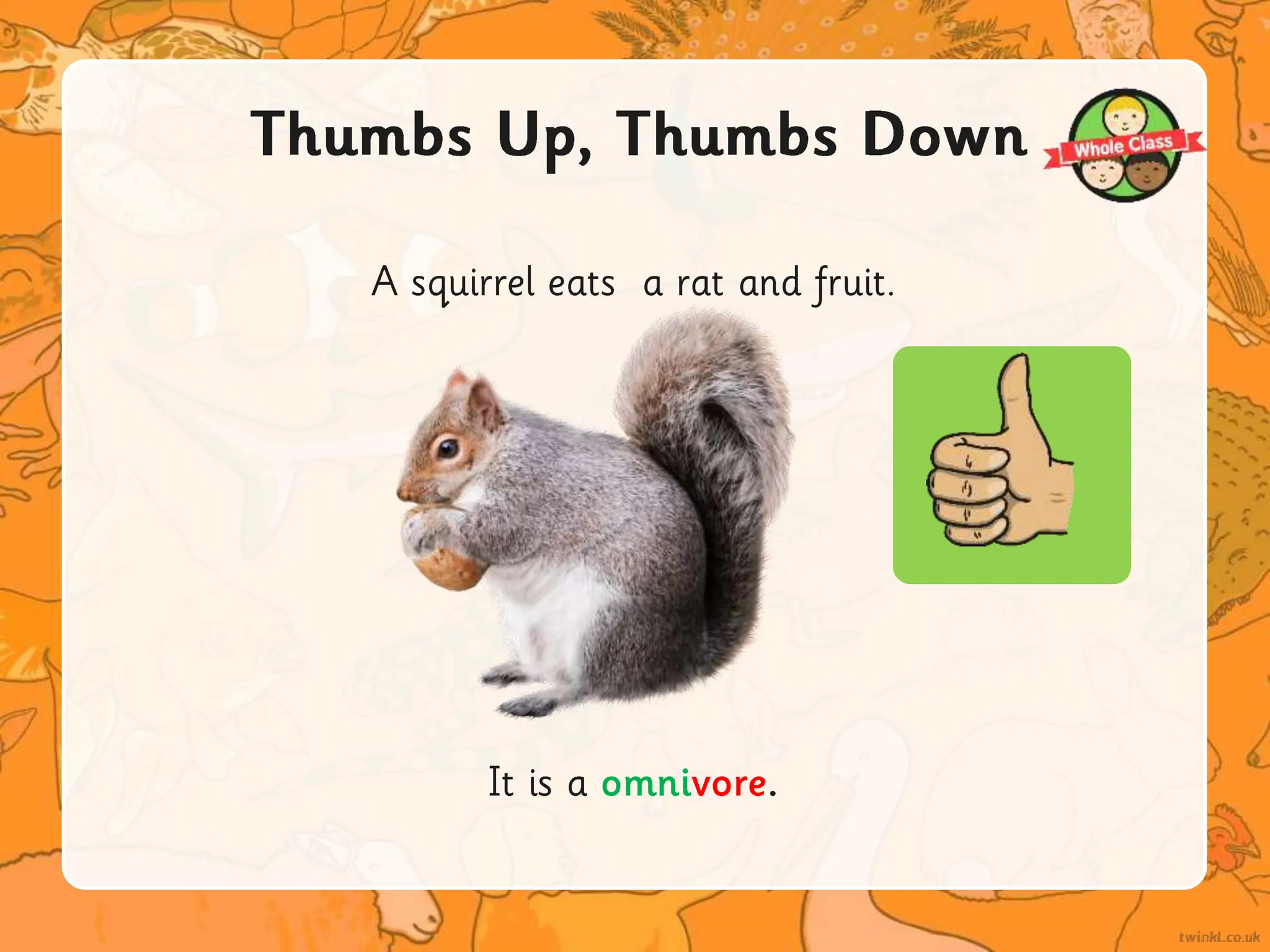 Carnivore Herbivore Omnivore.ppt this lesson is made for 4th grade ...