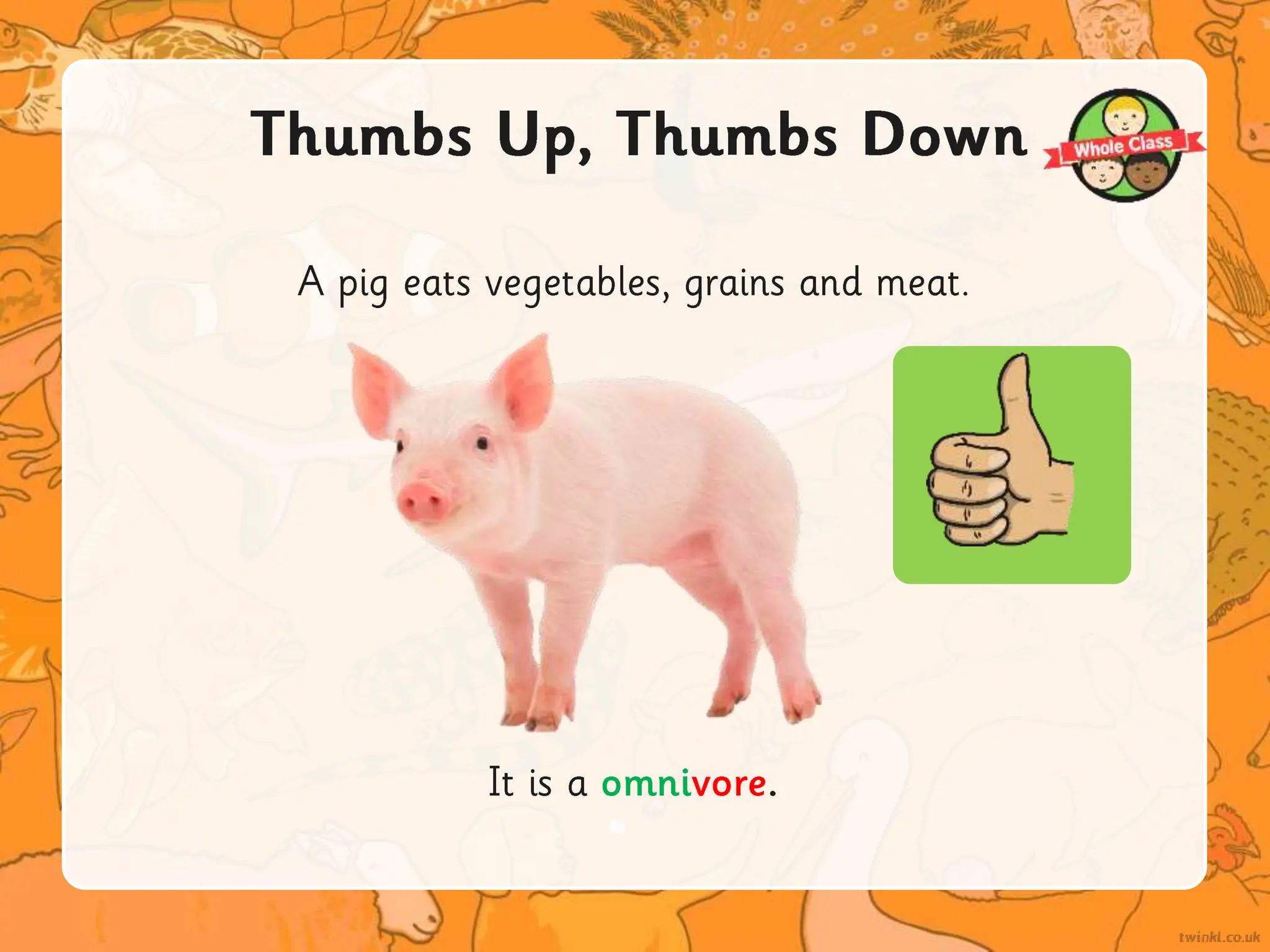 Carnivore Herbivore Omnivore.ppt this lesson is made for 4th grade ...