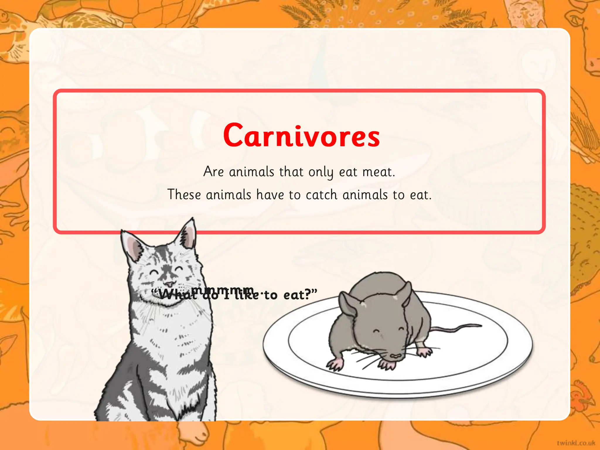 Carnivore Herbivore Omnivore.ppt this lesson is made for 4th grade ...
