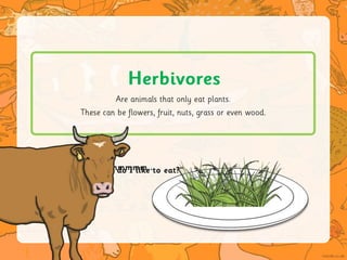 Carnivore Herbivore Omnivore.ppt this lesson is made for 4th grade ...