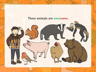 Carnivore Herbivore Omnivore.ppt this lesson is made for 4th grade ...