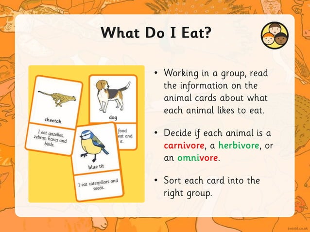 Carnivore Herbivore Omnivore.ppt this lesson is made for 4th grade ...