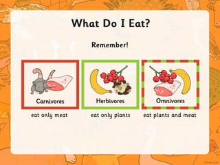 Carnivore Herbivore Omnivore.ppt this lesson is made for 4th grade ...