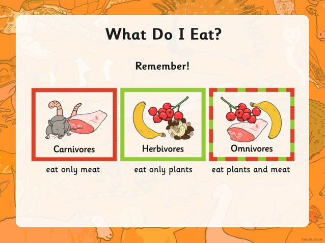 Carnivore Herbivore Omnivore.ppt this lesson is made for 4th grade ...