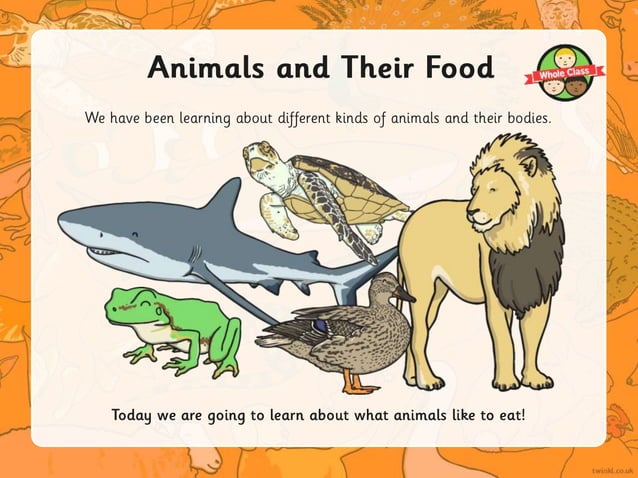 Carnivore Herbivore Omnivore.ppt this lesson is made for 4th grade ...