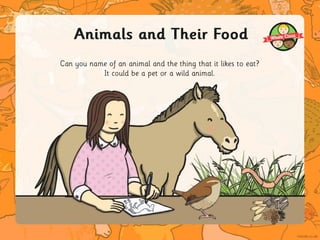 Carnivore Herbivore Omnivore.ppt this lesson is made for 4th grade ...