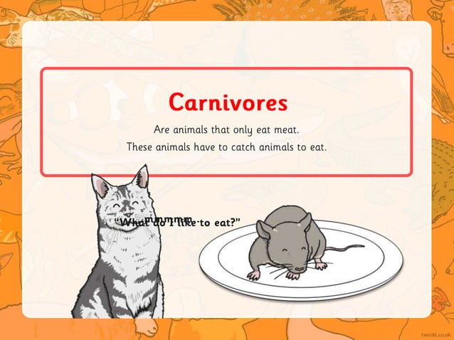 Carnivore Herbivore Omnivore.ppt this lesson is made for 4th grade ...