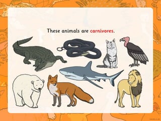 Carnivore Herbivore Omnivore.ppt this lesson is made for 4th grade ...