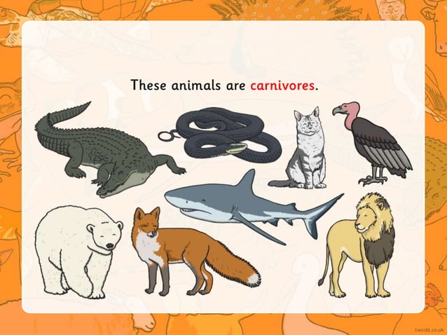 Carnivore Herbivore Omnivore.ppt this lesson is made for 4th grade ...
