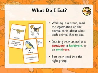 Carnivore Herbivore Omnivore.ppt this lesson is made for 4th grade ...