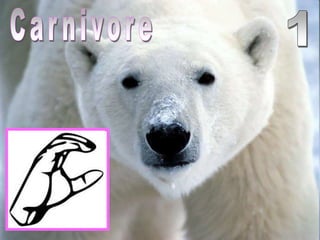 Is the Animal a Carnivore, Herbivore, or Omnivore Visual Quiz, Animals ...