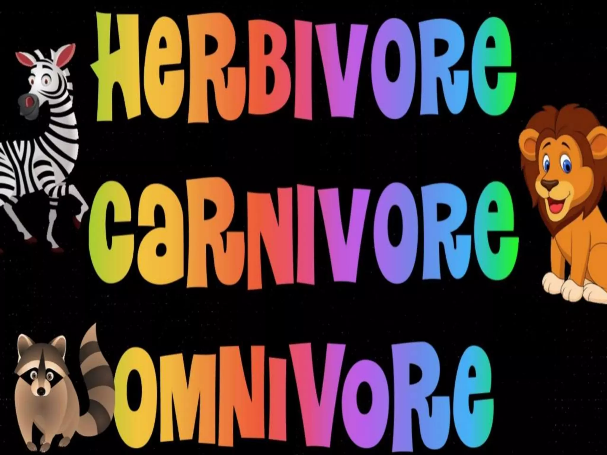 Carnivore omnivore herbivore | PPTX