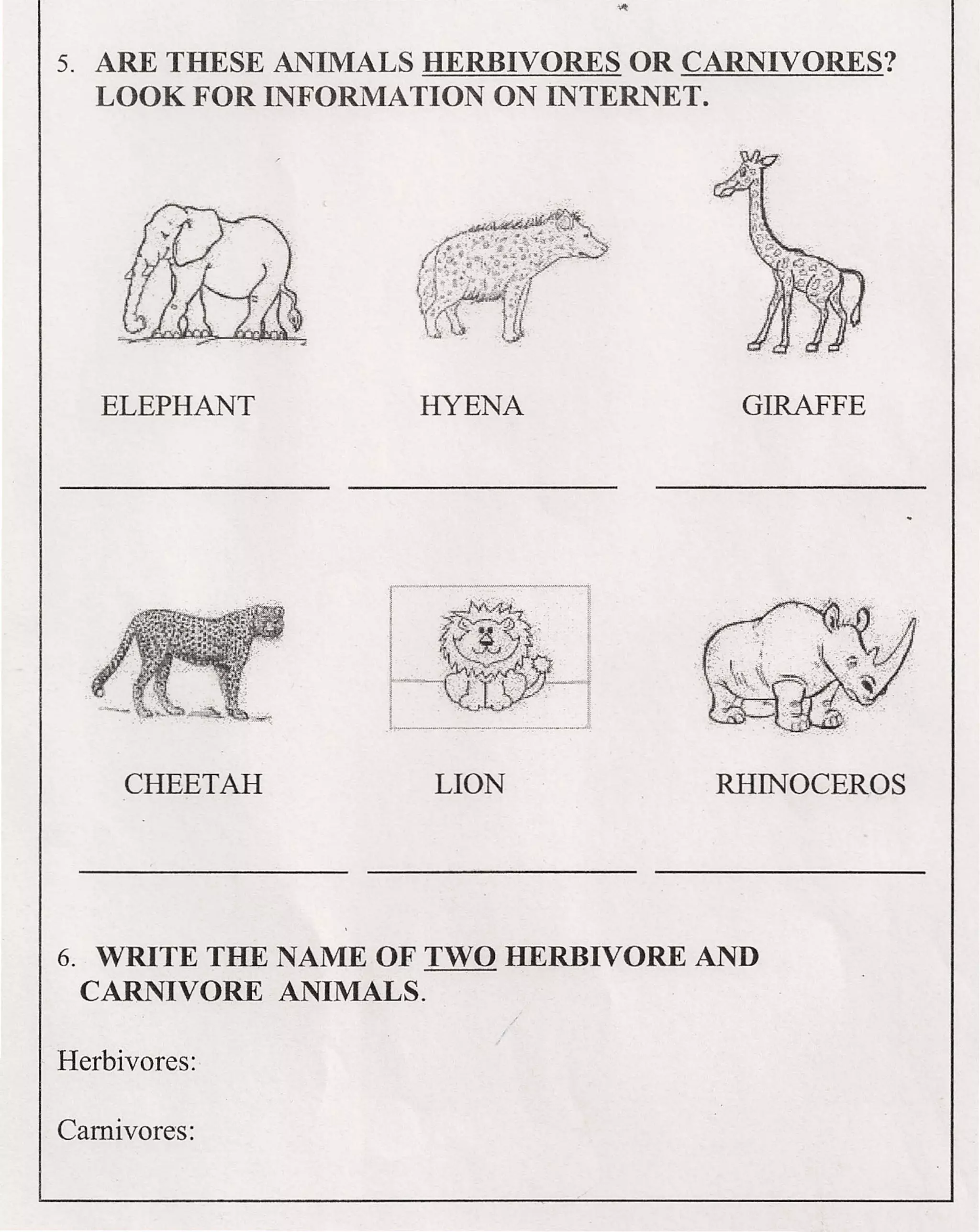 Carnivore or herbivore | PDF