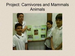 Carnivores And Mammals Animals- 8th year D | PPT | Reptiles | Pets