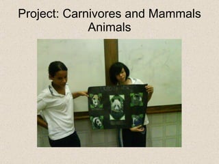 Carnivores And Mammals Animals- 8th year D | PPT | Reptiles | Pets