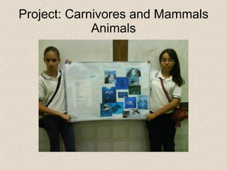 Carnivores And Mammals Animals- 8th year D | PPT | Reptiles | Pets
