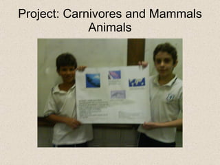Carnivores And Mammals Animals- 8th year D | PPT | Reptiles | Pets