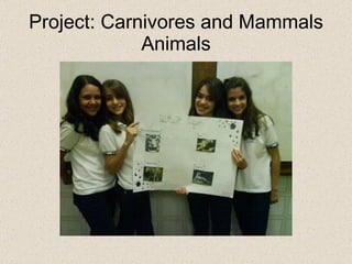 Carnivores And Mammals Animals- 8th year D | PPT | Reptiles | Pets