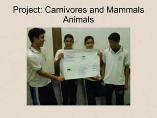 Carnivores And Mammals Animals- 8th year D | PPT | Reptiles | Pets