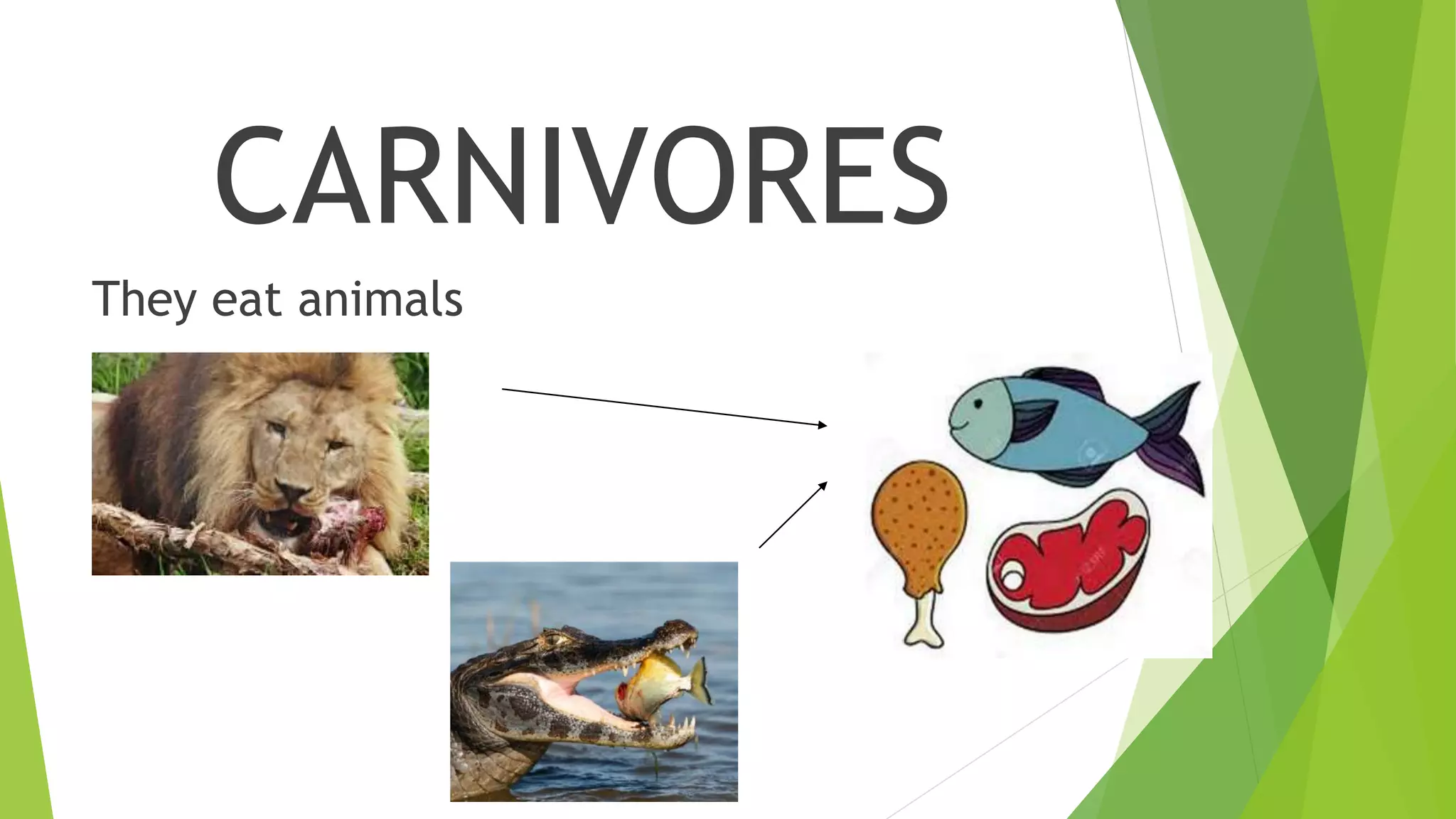 Carnivores, herbivores and omnivores | PPTX