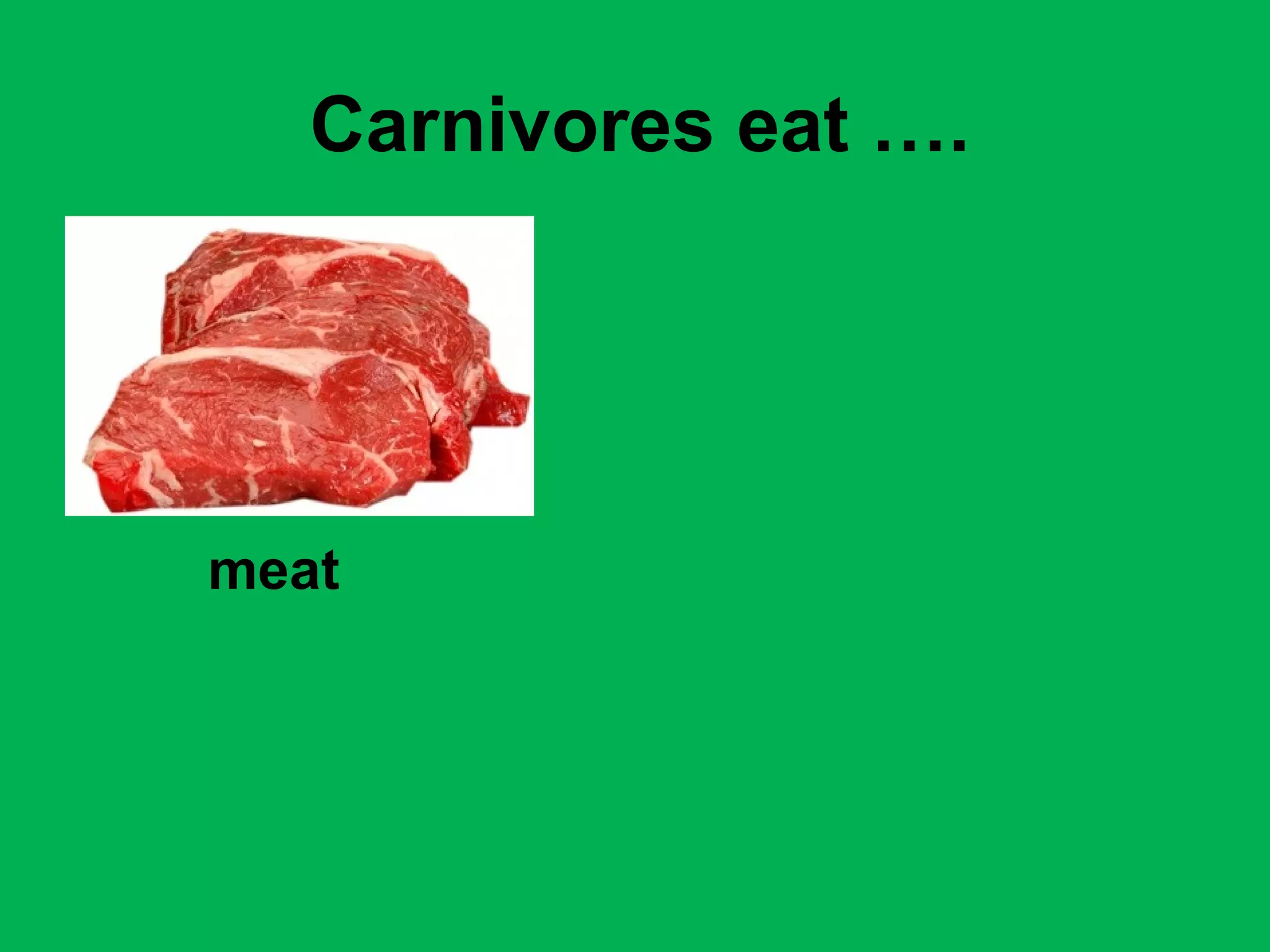 Carnivores herbivores omnivores blog | PPT