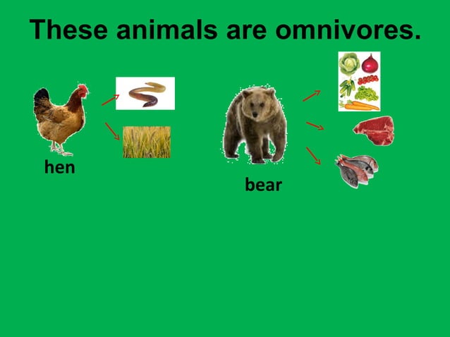 Carnivores herbivores omnivores blog | PPT | Vegetarian Diets | Food ...
