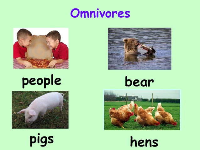 Carnivores herbivores omnivores with examples | PPT | Vegetarian Diets ...