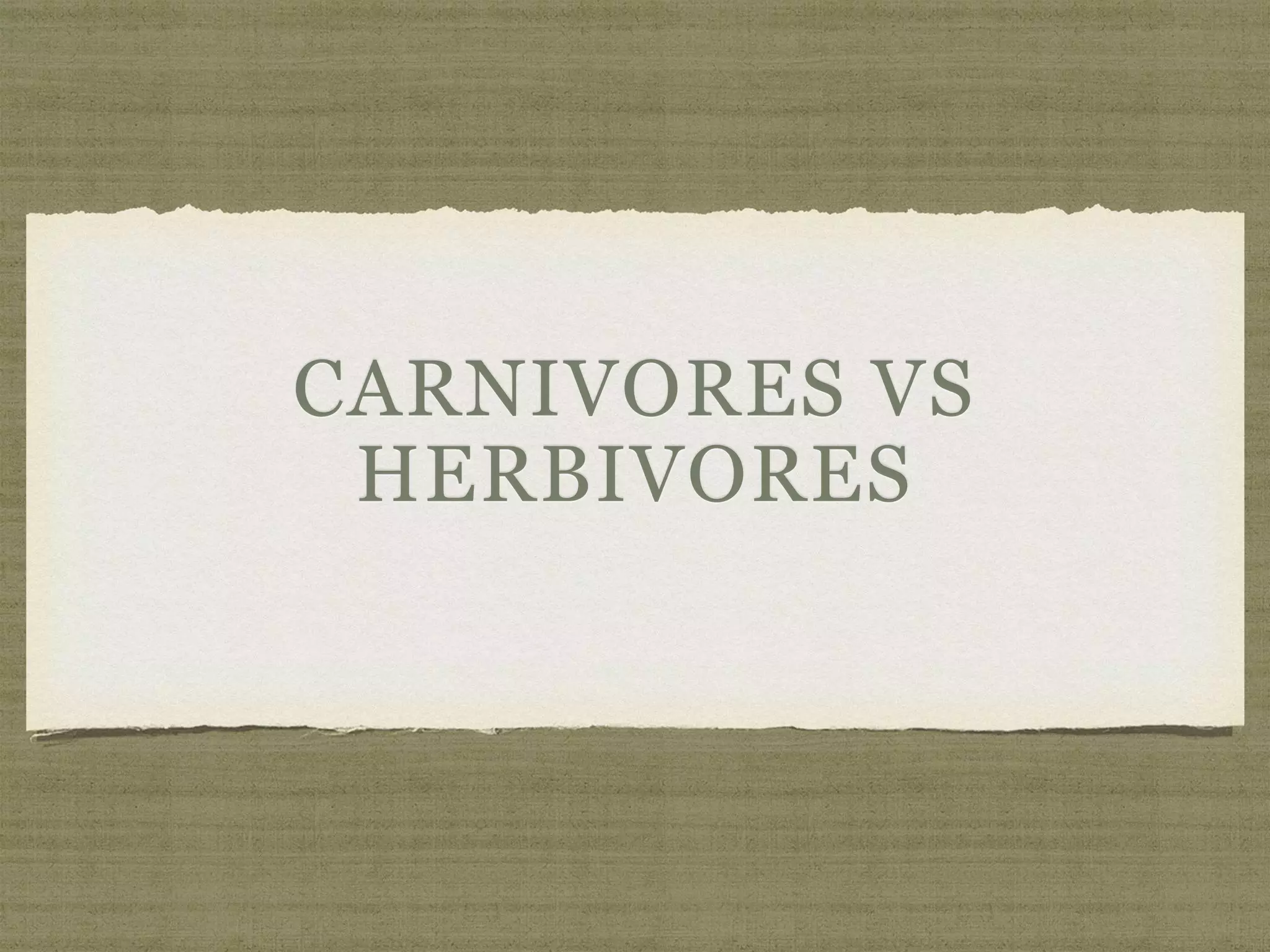 Carnivores vs herbivores | PPTX | Cats | Pets